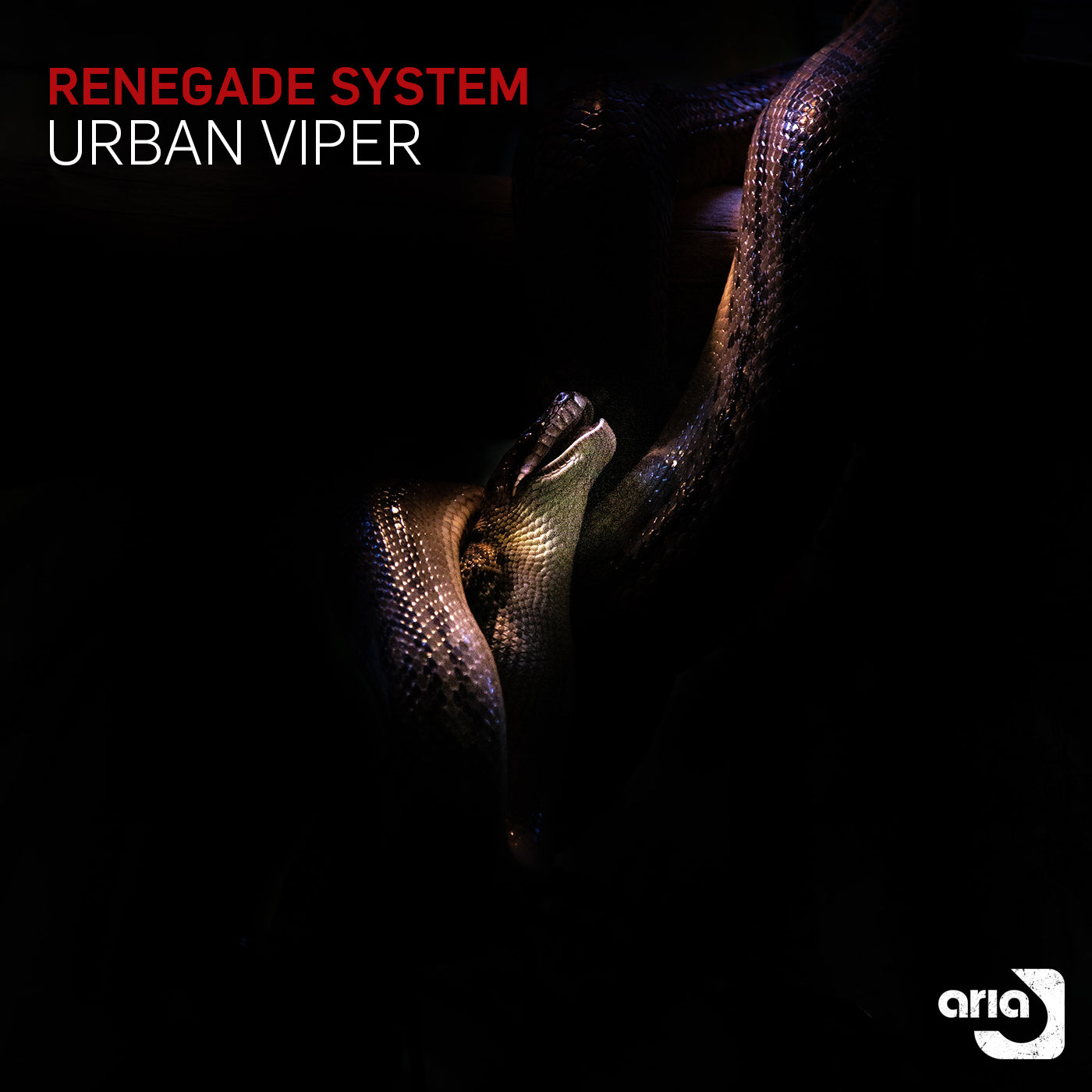 Renegade System — Urban Viper – Aria Digital